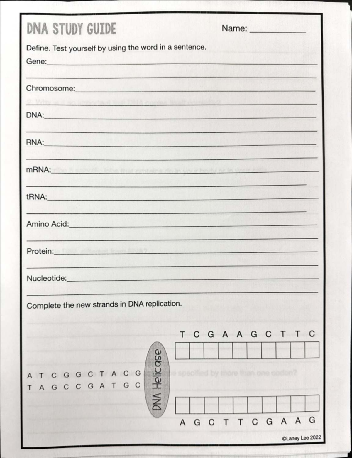 DNA Study Guide: Key Concepts and Review Questions (BIO 101) - Studocu