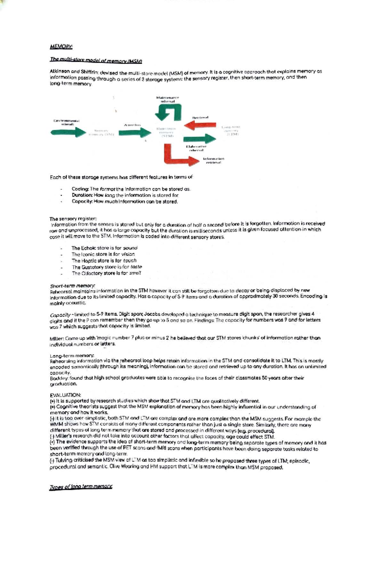 Memory - AQA A-level Psychology Notes on Atkinson and Shiffrin's MSM ...