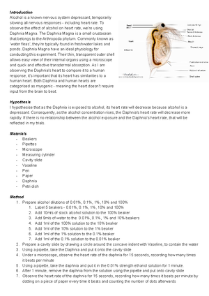 Biology - 13 (NCEA 3) - National Certificate of Educational Achievement ...