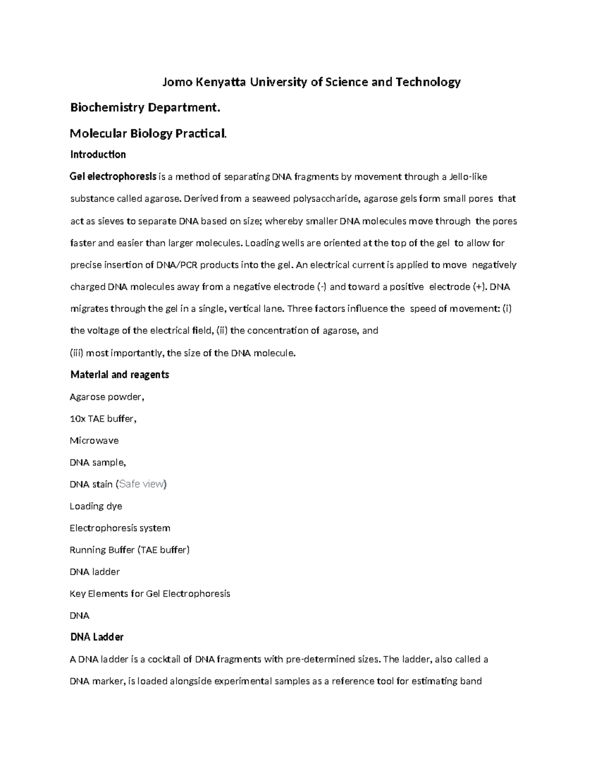 Jomo Kenyatta University Biochemistry: Gel Electrophoresis Practical ...