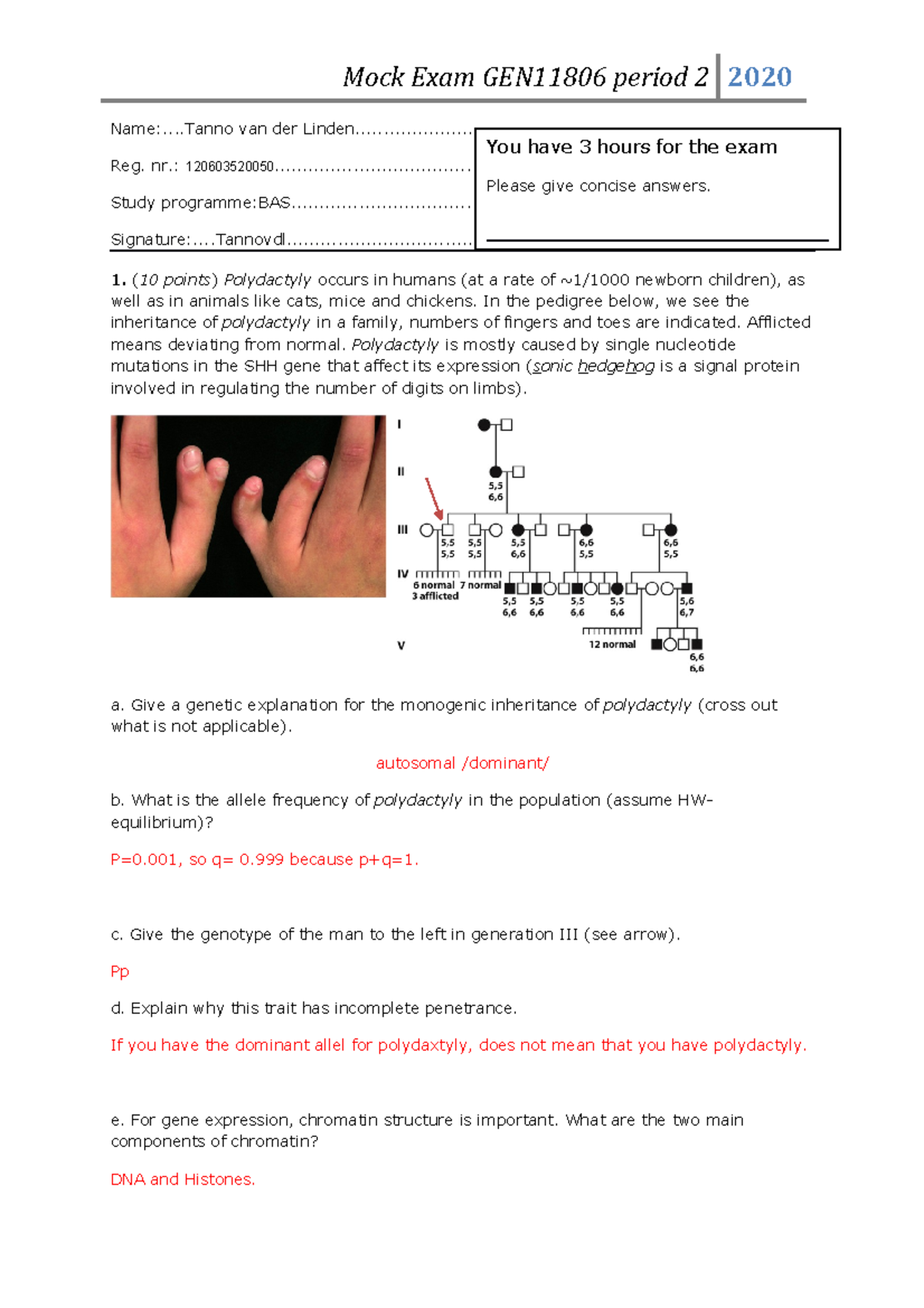 Mock Exam GEN11806 - Genetics of Polydactyly & Chromatin Structure ...