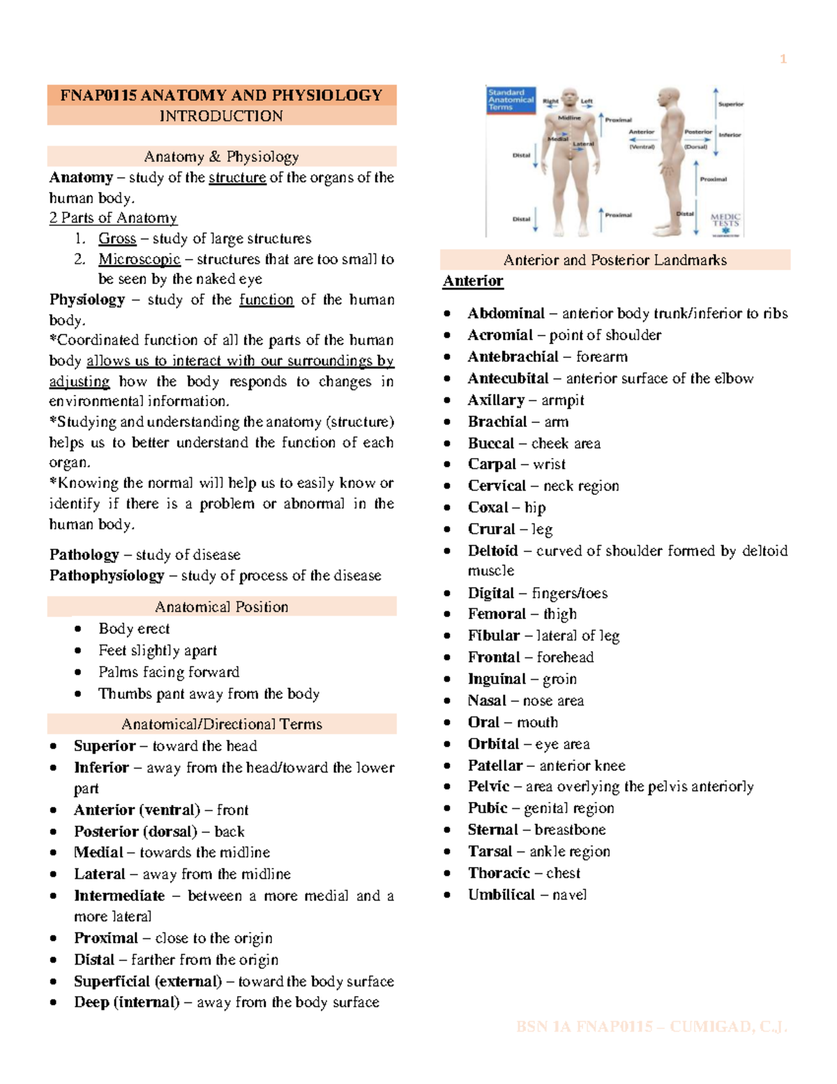 1 FNAP0115 ANATOMY AND PHYSIOLOGY: INTRODUCTION TO THE HUMAN BODY - Studocu
