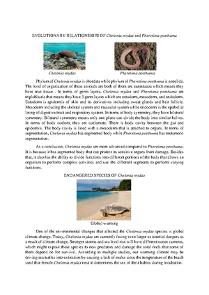 Biodiversity Worksheet - Chapter 1: Biodiversity Domain Kingdom Unique ...