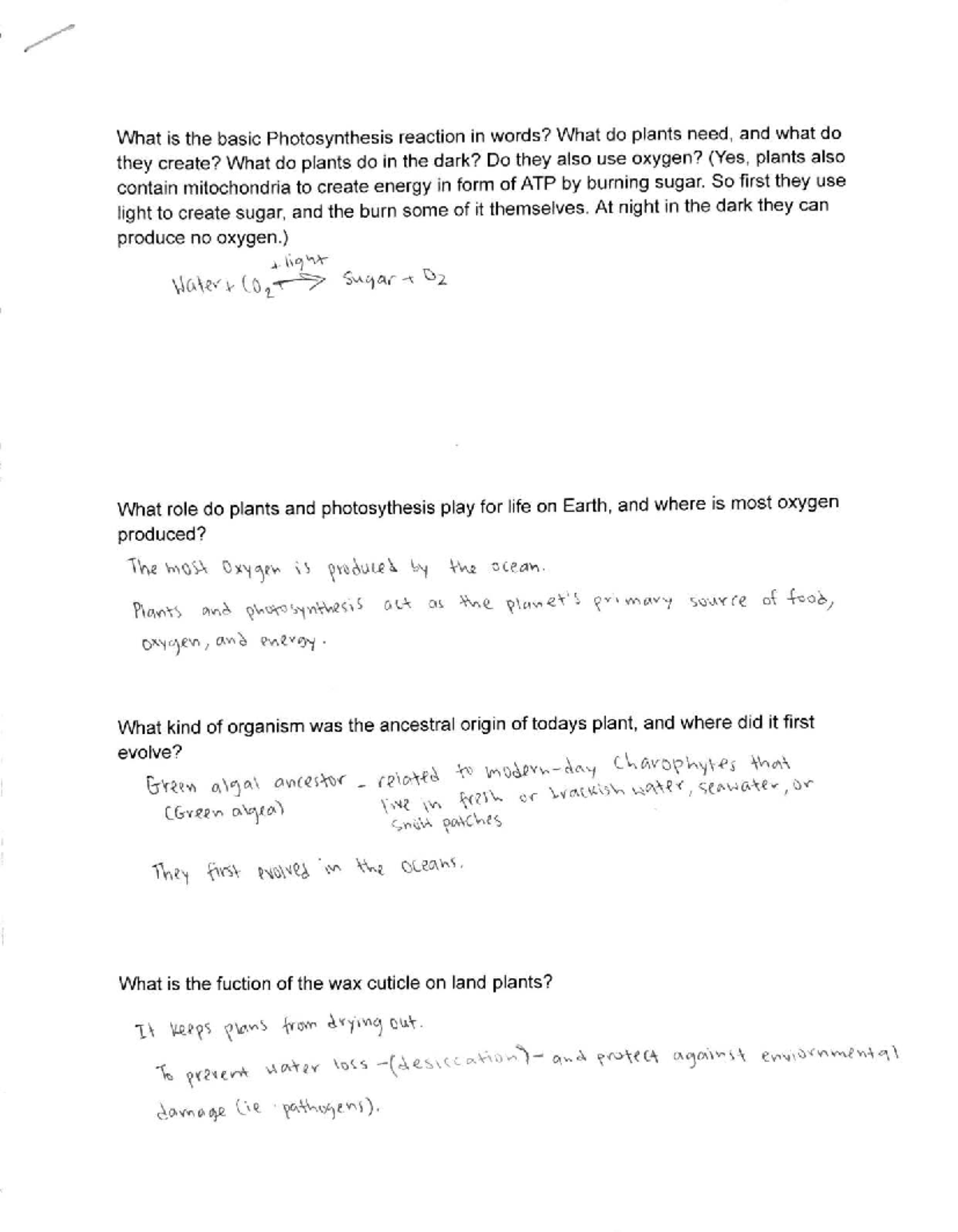 Title: Photosynthesis and Plant Biology Overview for BIO101 - 2023/2024 ...