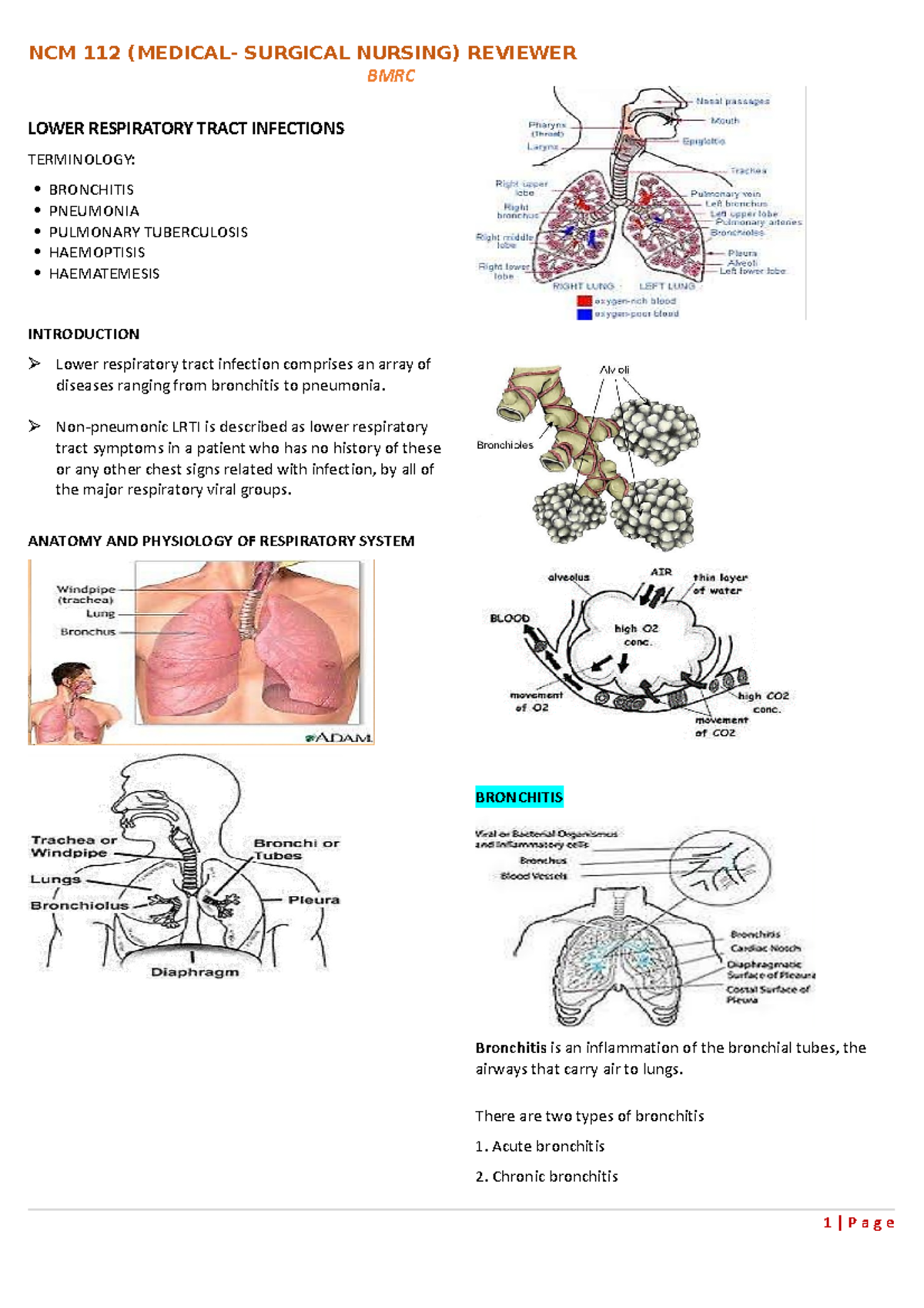 LRTI - Comprehensive Study Guide on Lower Respiratory Medsurg - Studocu