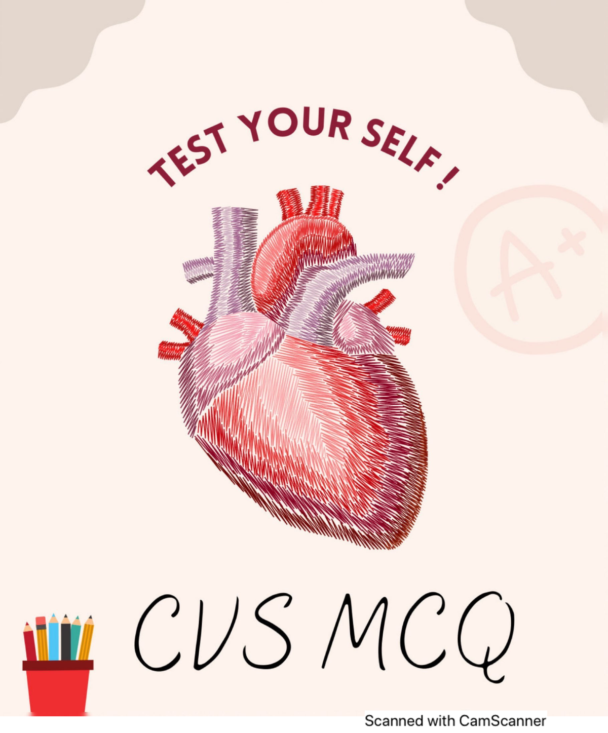 MCQ CVS - Multiple Choice Questions on CVS with Answers - Studocu