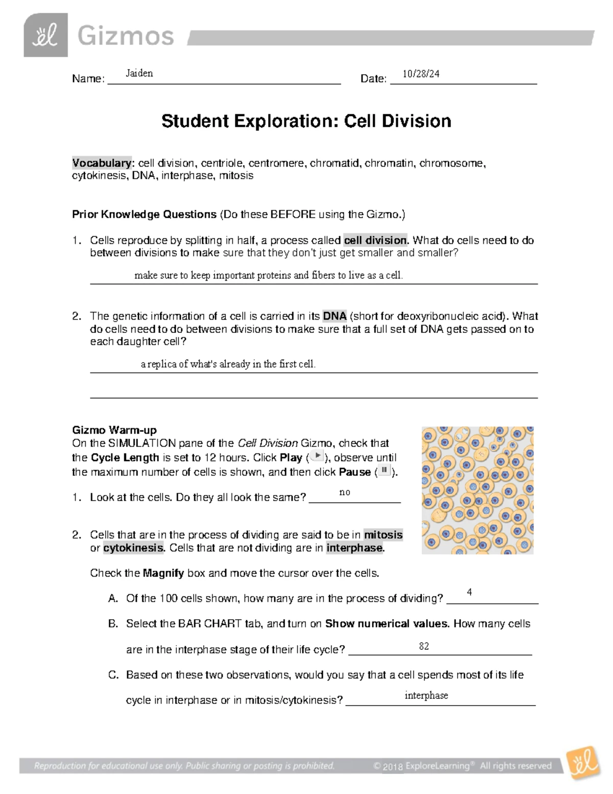 Mouse Genetics Gizmo: Two Traits Exploration Answer Key - Studocu