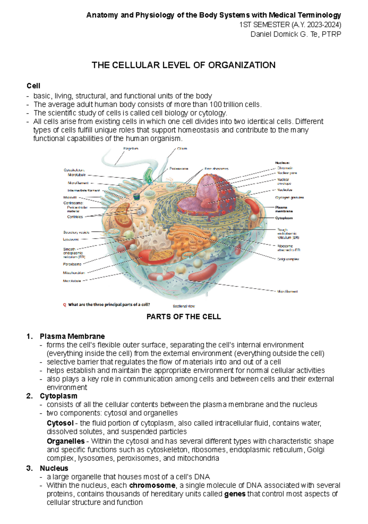 Copy of (Ana Phy) Intro to Cells and Tissues - Anatomy and Physiology ...
