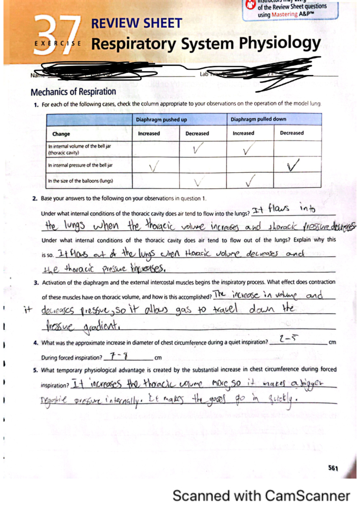 Review Sheet for Chapter 37: Respiratory System Physiology and Exercise ...