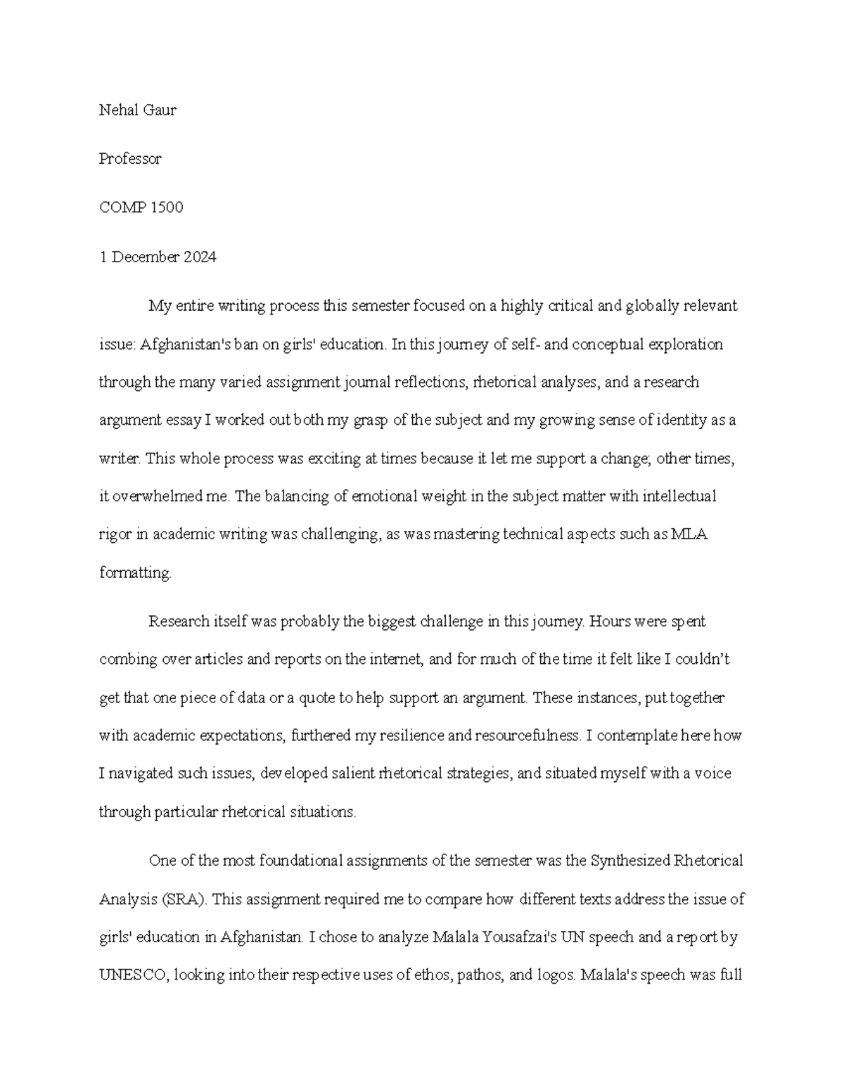 A4 Autoethnography - Nehal Gaur Professor COMP 1500 1 December 2024 My ...