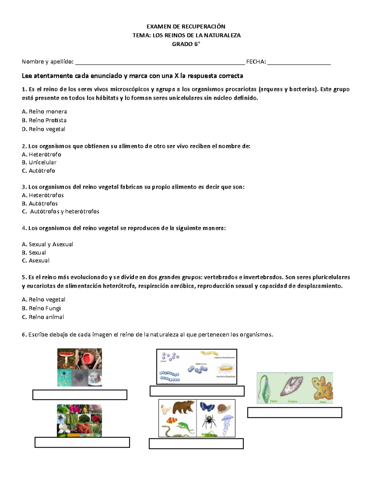 Examen de recuperación - Los reinos de la naturaleza - Grado 6° - Studocu