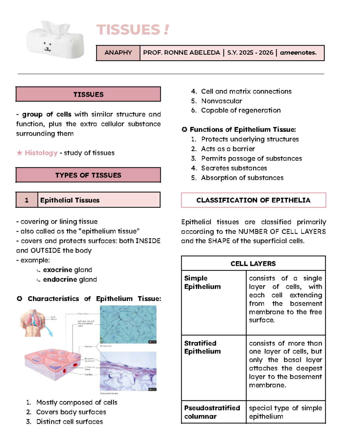 TISSUES: Comprehensive Study Notes for ANAPHY 2025-2026 - Studocu