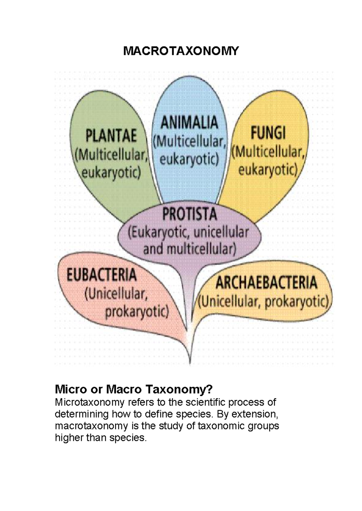 Macrotaxonomy Overview: Key Concepts and Classification Rules - Studocu
