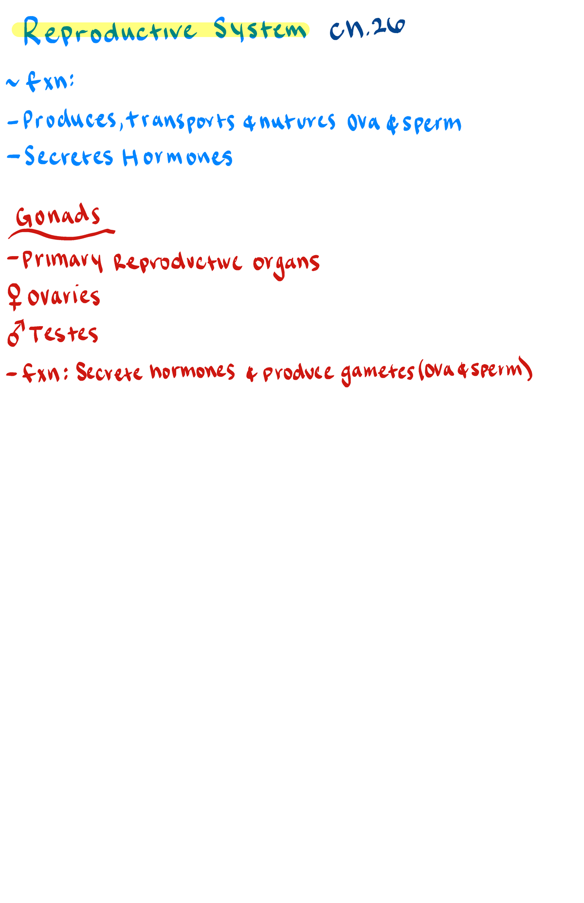 A&P Reproductive System Chapter 2: Functions and Hormones - Studocu