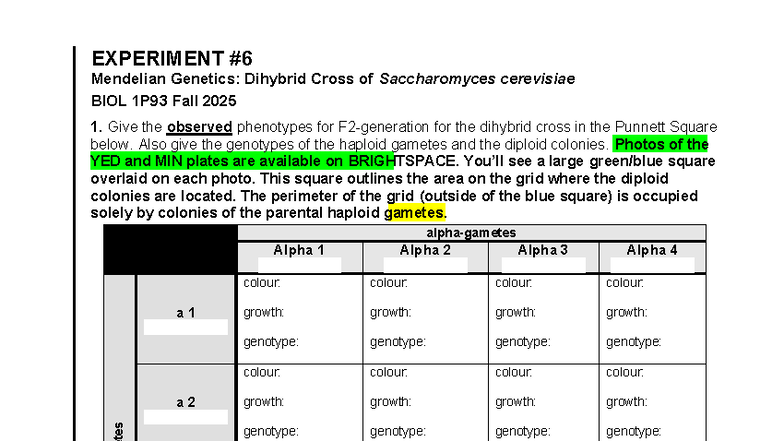Mendelian Genetics Dihybrid Cross Analysis BIOL 1P9 Fall 2025 - Studocu