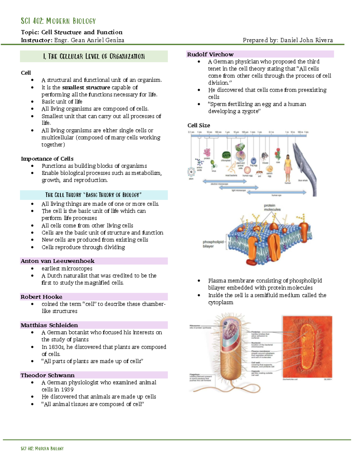 SCI 402: Modern Biology - Comprehensive Overview of Cell Structure & Function - Studocu