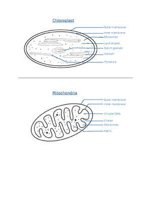 2025 ATP Gr.10 Term 2 Gauteng - 1 GDE Life Sciences grade 10 Term 2 ATP ...