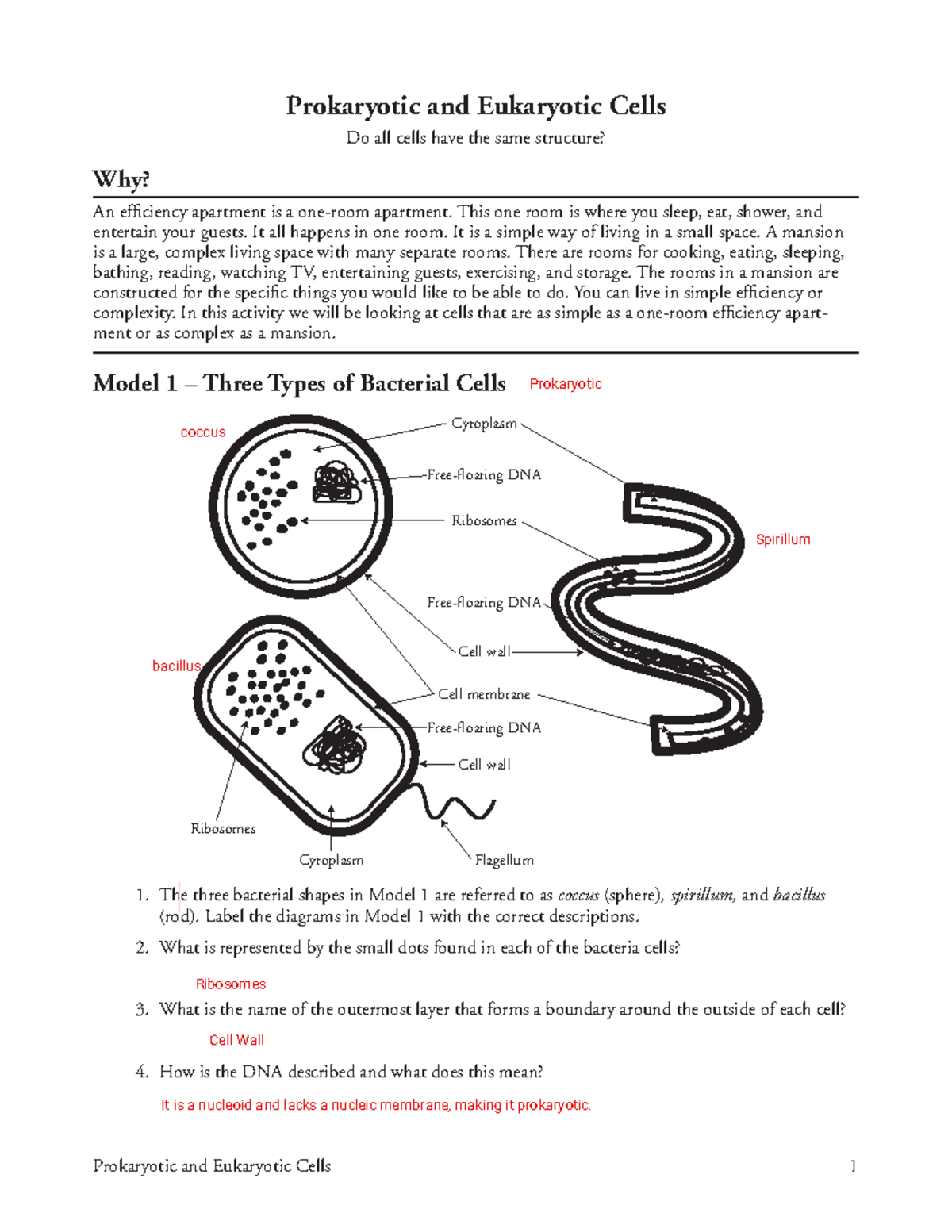 7 Prokaryote and Eukaryote Cells-S - Prokaryotic and Eukaryotic Cells 1 ...