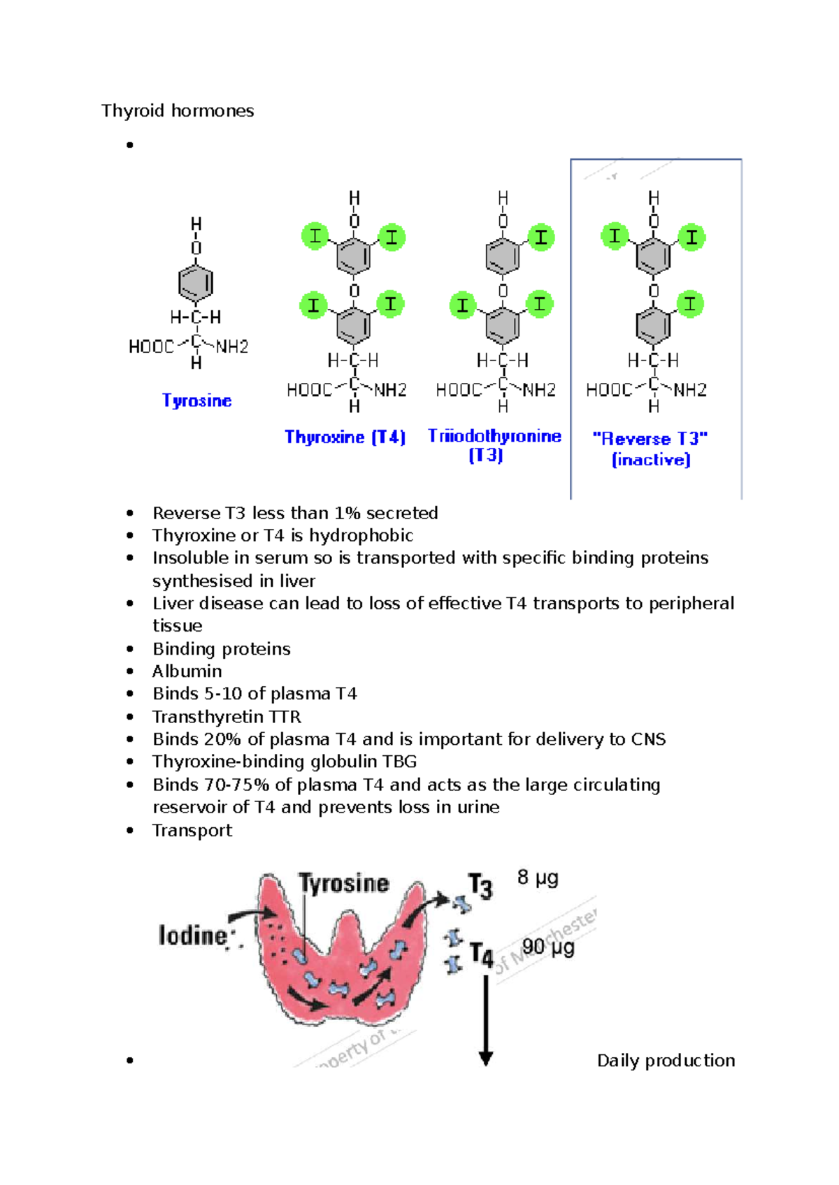 Endocrinology Lecture 8: Thyroid Hormones and Their Metabolic Effects ...