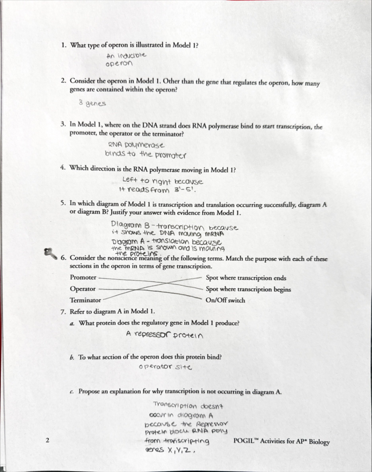 Gene Expression Control: Inducible and Repressible Operons - BIOL 101 ...