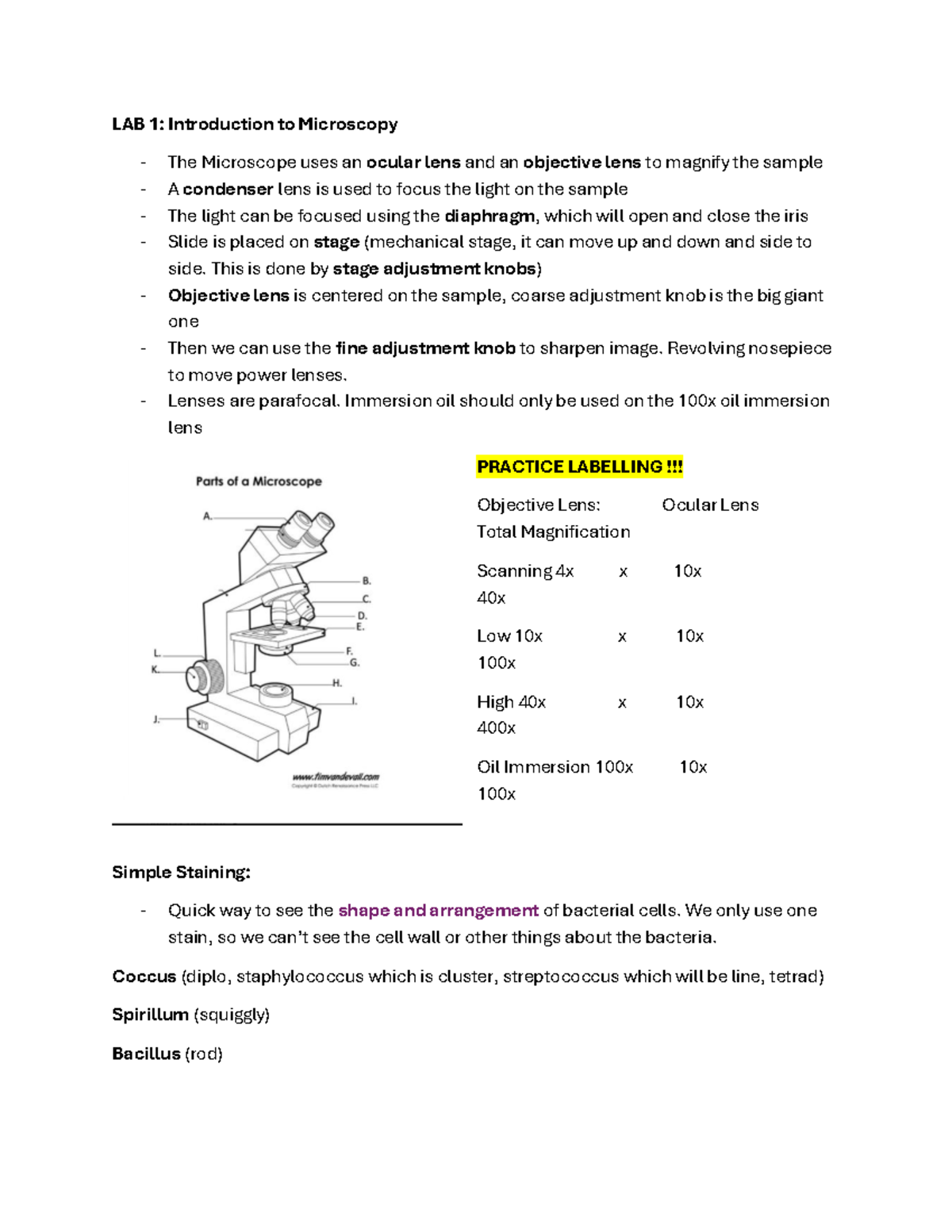 LAB 1: Microscopy Techniques and Staining Methods Study Guide - Studocu