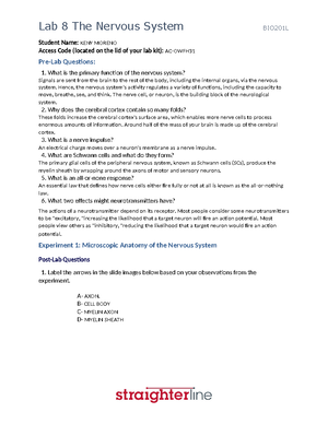 [Solved] As learned in Chapter 7 our Senses are classified into two ...