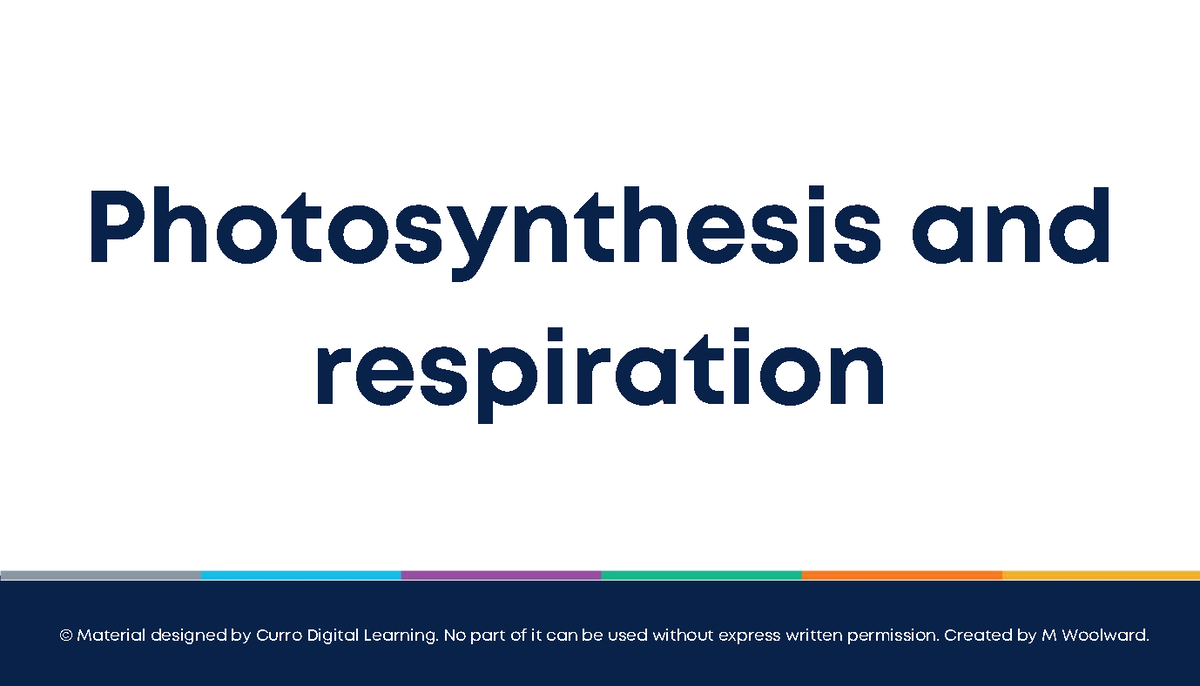 Grade 8 NS Mind Map: Photosynthesis & Respiration Notes - Studocu