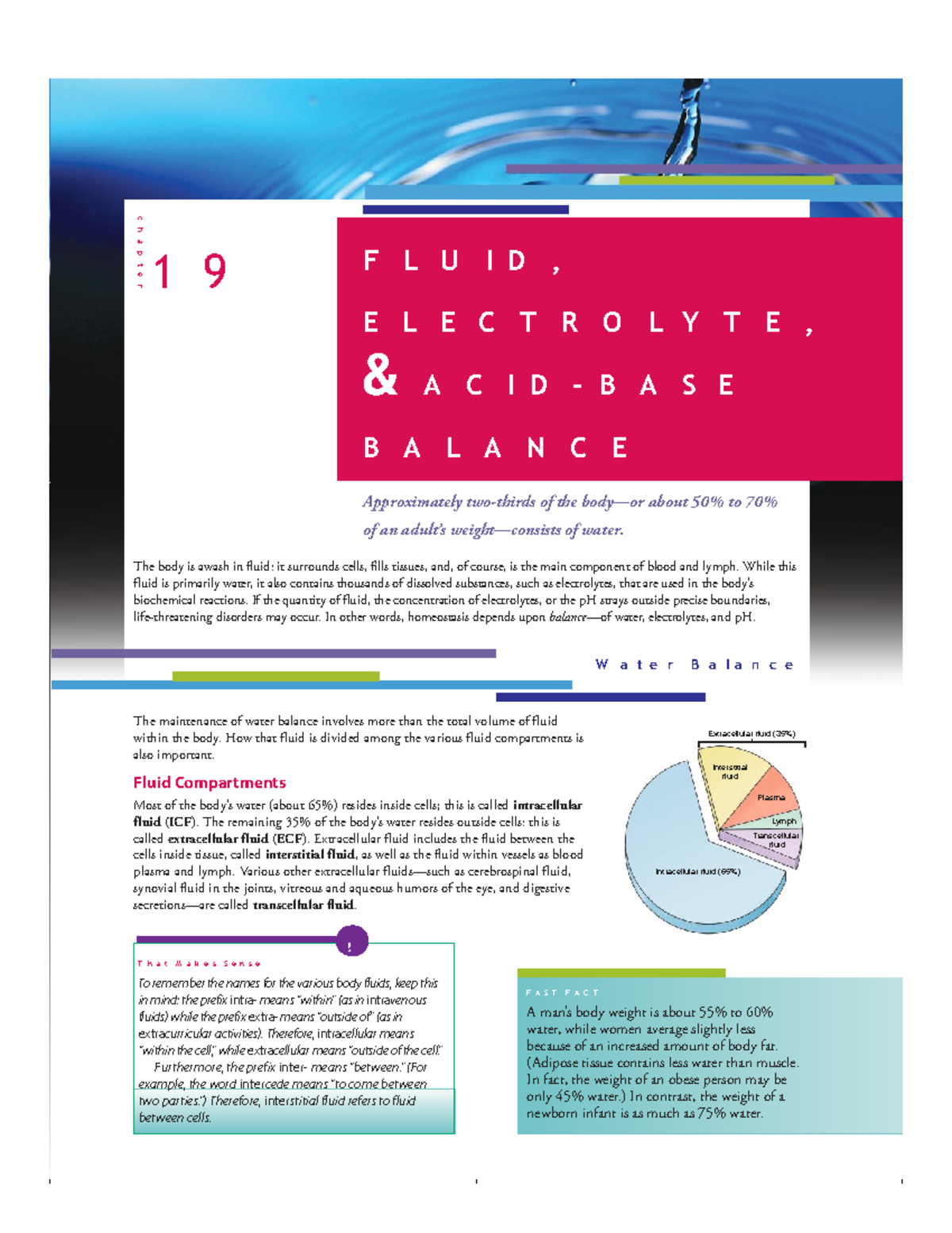 Chapter 19: Fluid and Electrolyte Balance (BIO 101) - Studocu