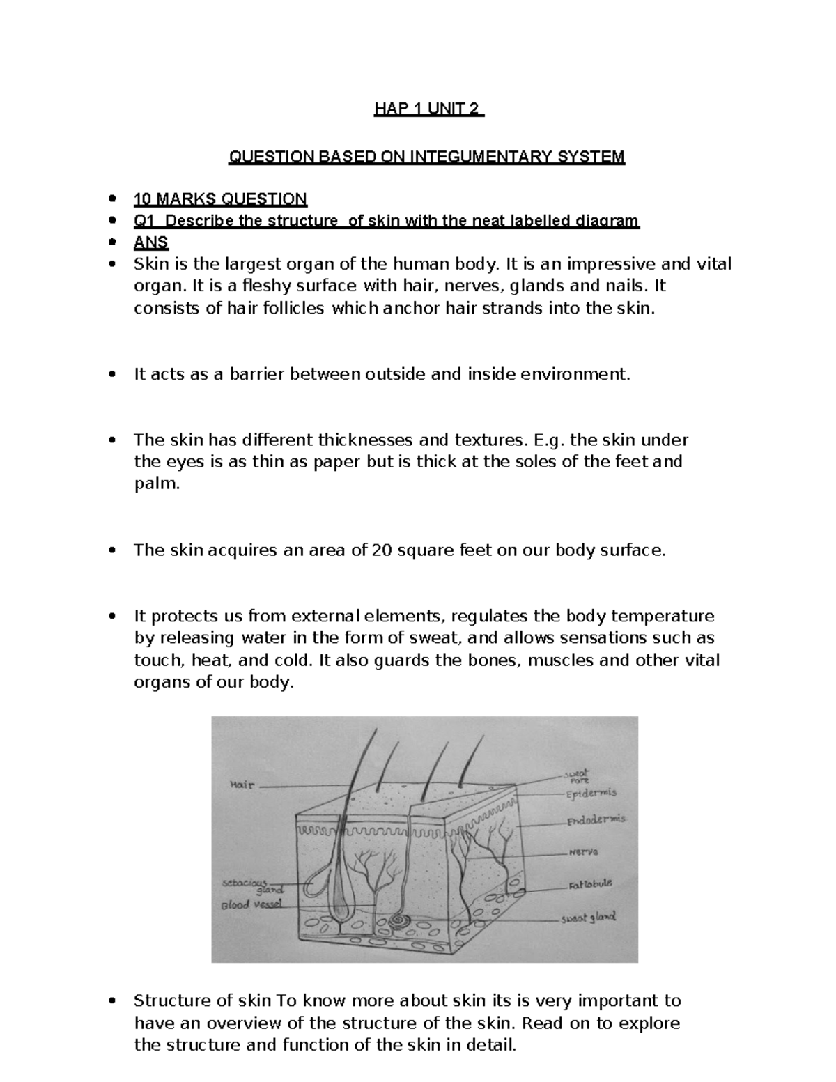 Unit 2 HAP 1: Integumentary System Overview and Functions - Studocu