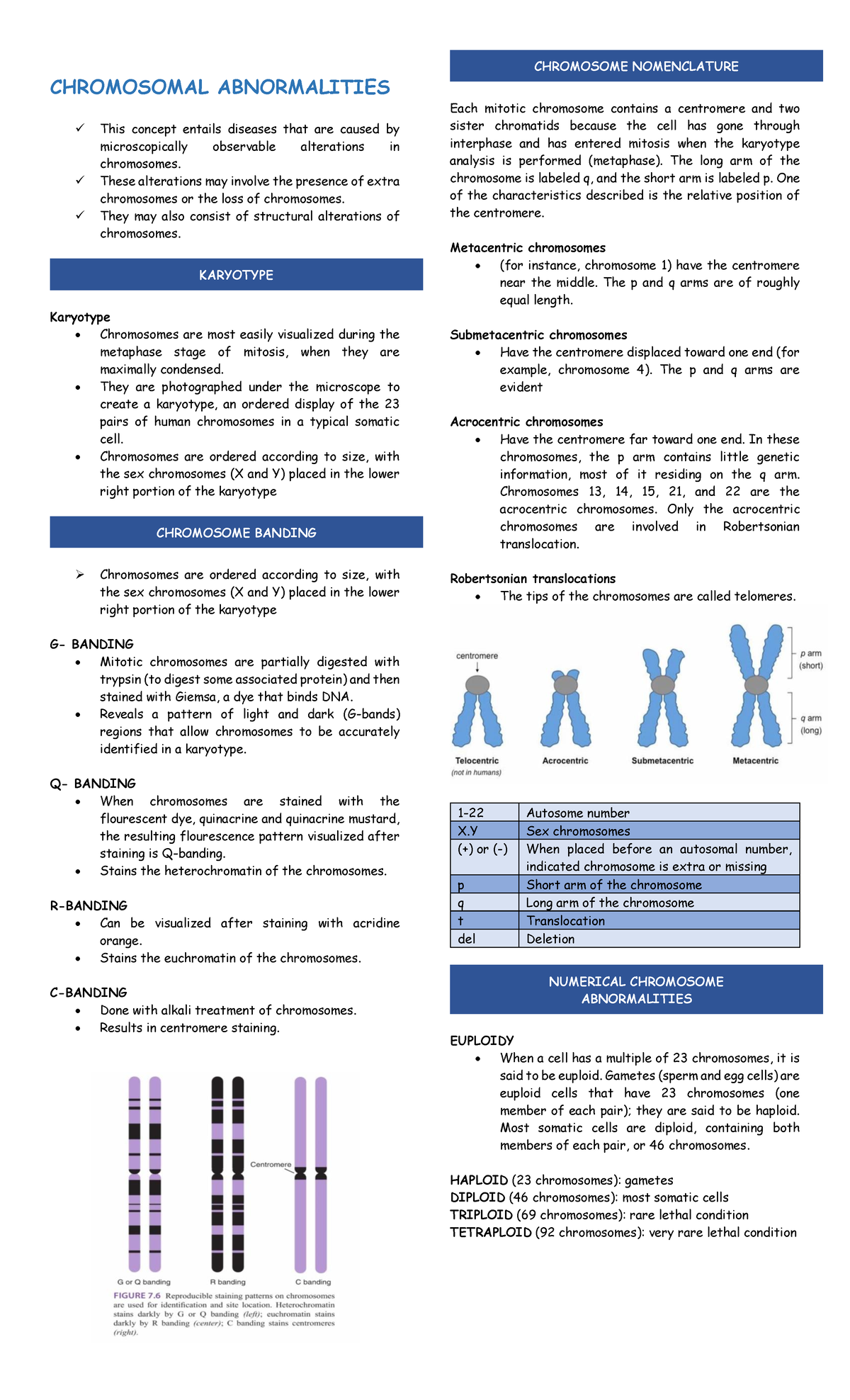 CHROMOSOMAL ABNORMALITIES: Karyotypes, Aneuploidies, and Syndromes ...