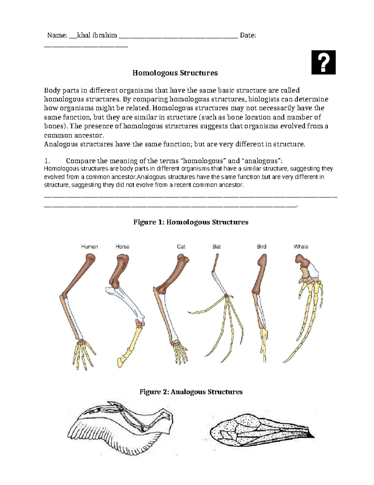 Biology 101: Homologous vs. Analogous Structures Explained - Studocu