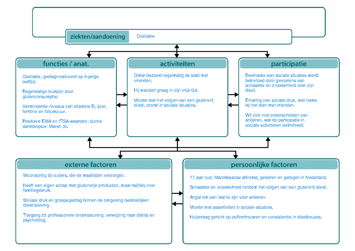 ICF Schema Oefenen met Voorbeelden en Toepassingen - Studeersnel