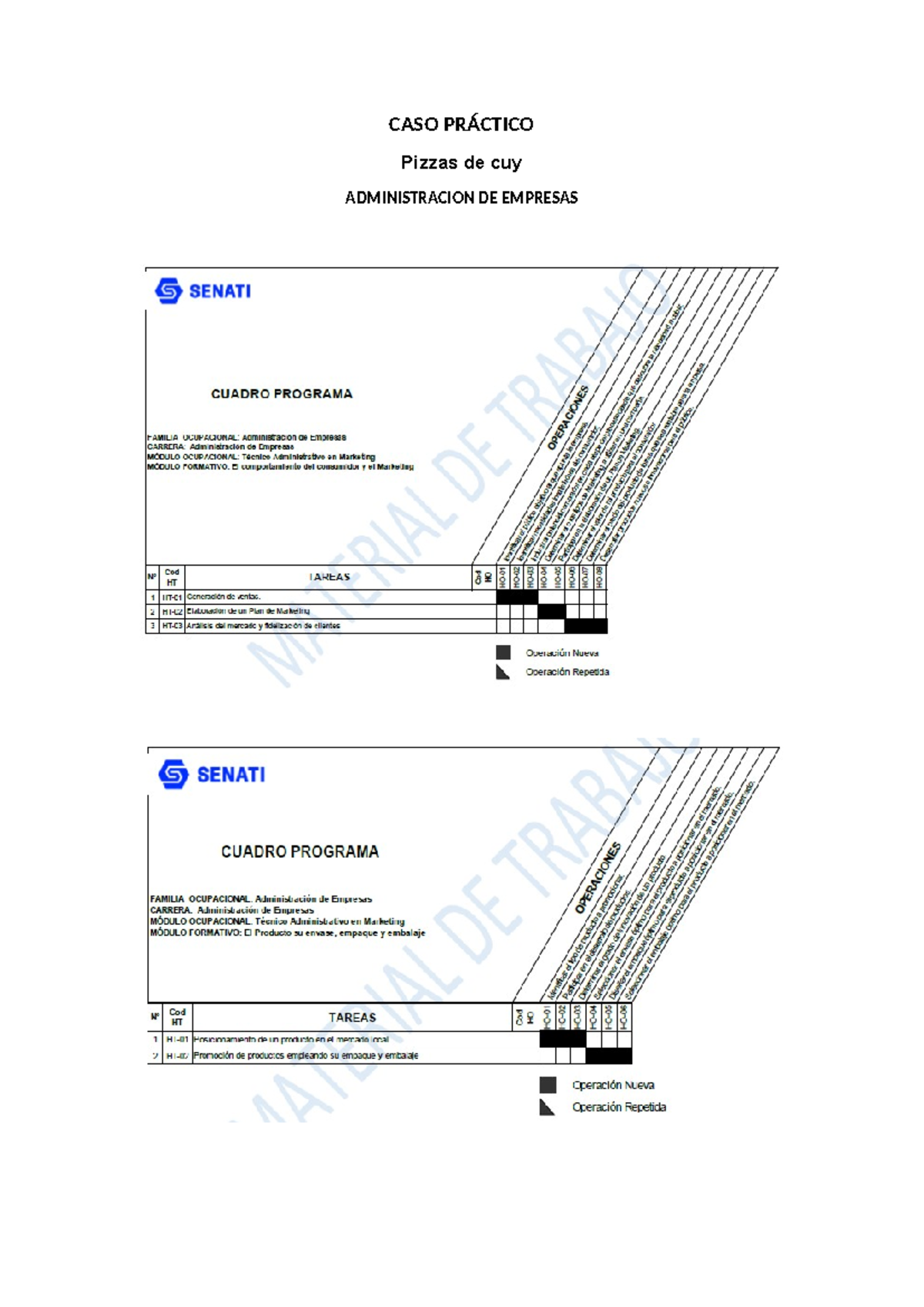 CASO PRÁCTICO SCP II 2: Estrategias para la Pizza de Cuy en el Mercado ...