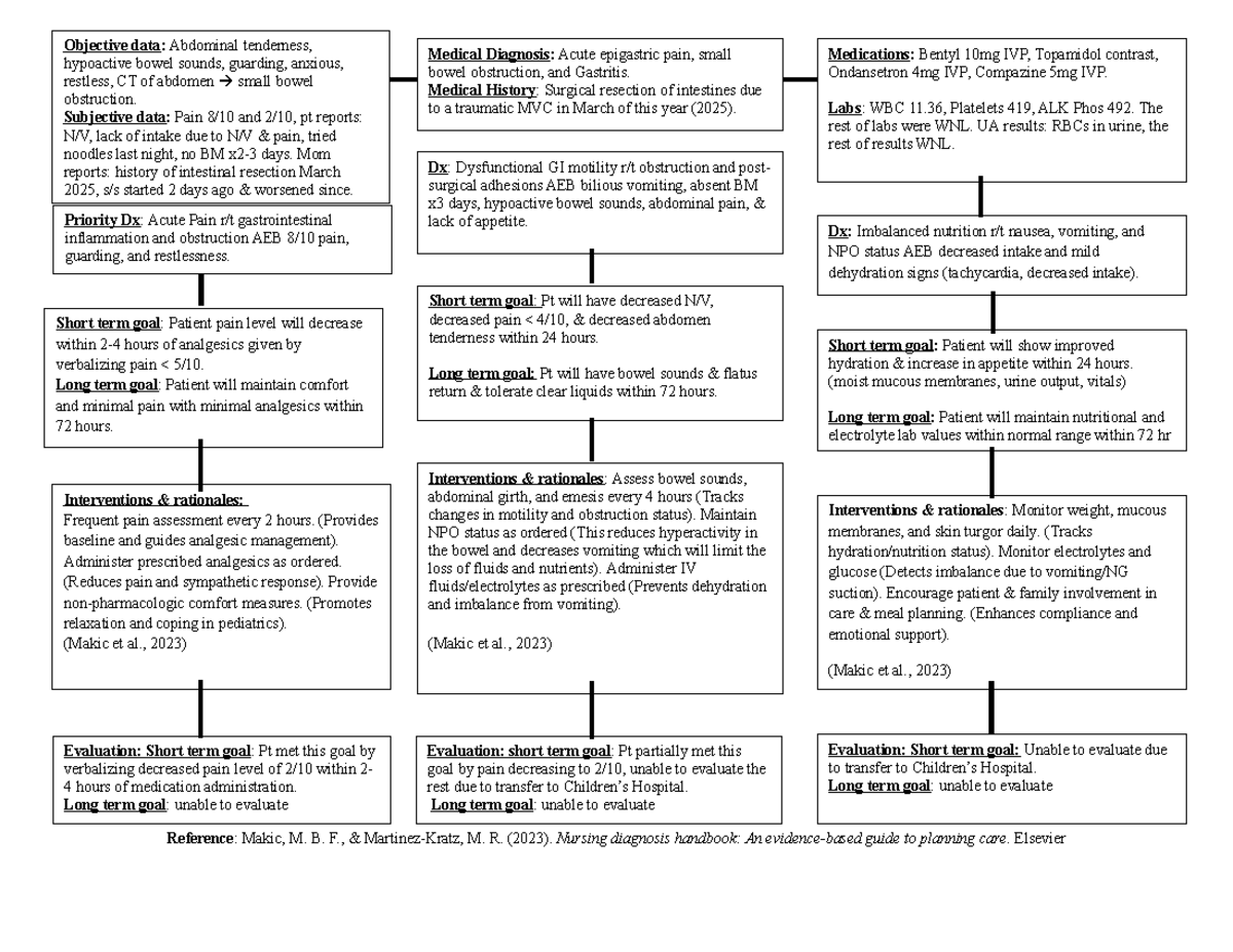 Nursing Care Plan for SBO & Gastritis: Goals and Interventions - Studocu