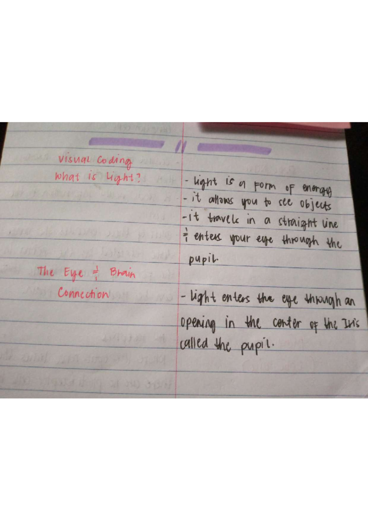 Visual Coding Midterm Study Notes: Understanding Light and Vision - Studocu