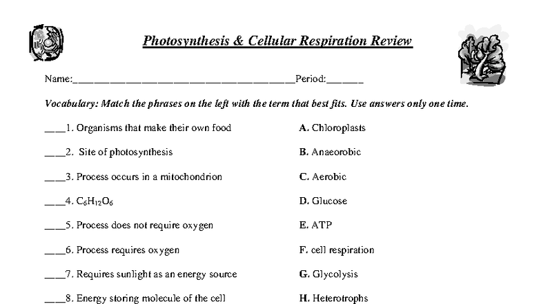 Cell Respiration & Photosynthesis Review: Key Concepts & Vocabulary ...