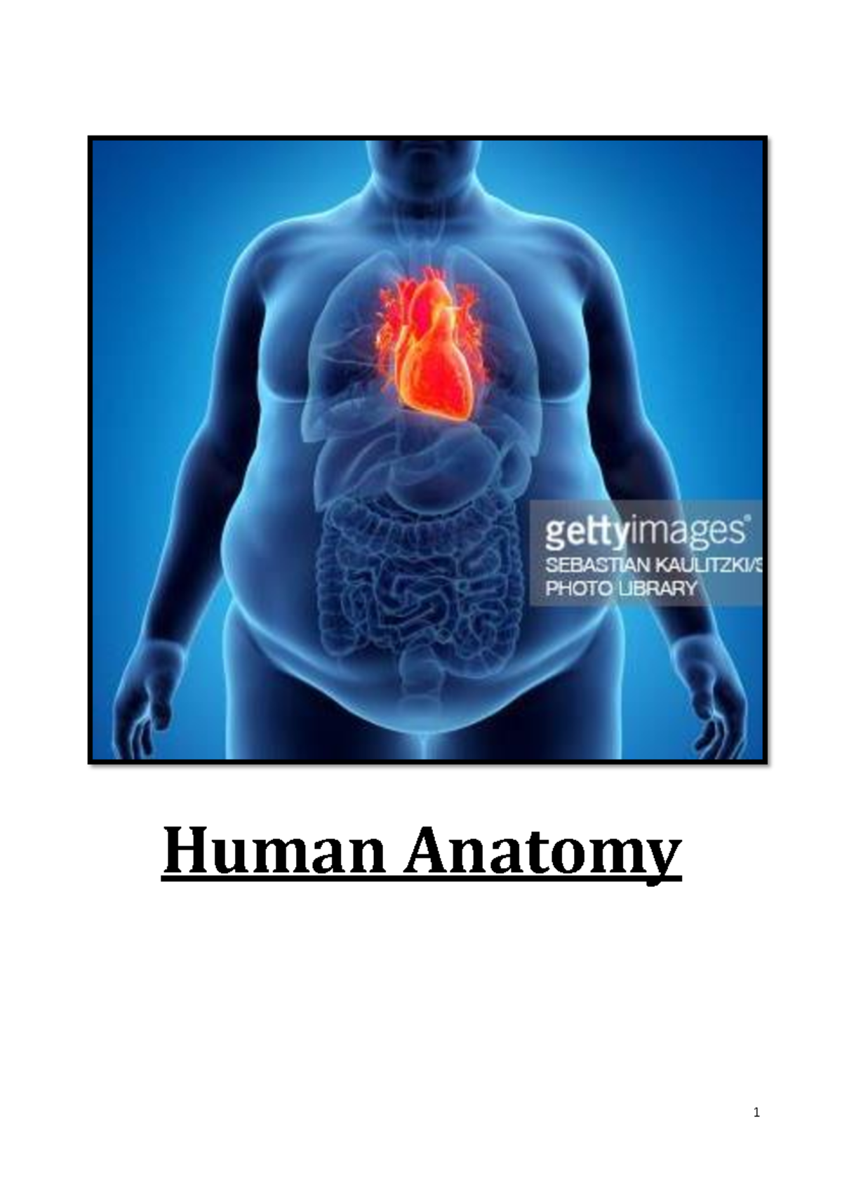Human Anatomy 1: Intro, Divisions, Terminology, Positions & Movements ...