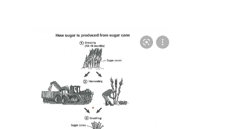 IELTS Writing Task: Sugar Production Process Diagram - Studocu