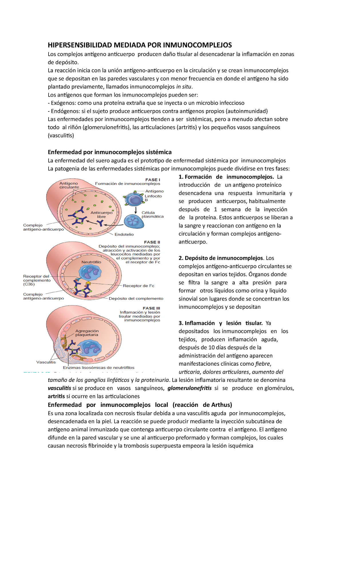 Hipersensibilidad Mediadas por Inmunocomplejos: Conceptos Clave y ...