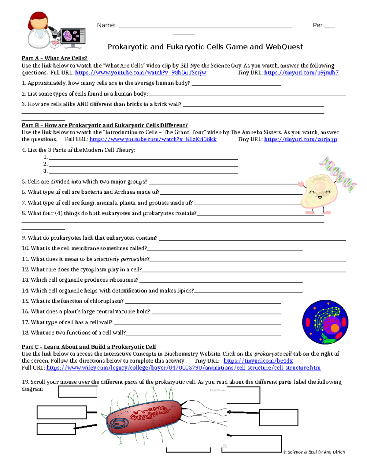Prokaryote & Eukaryote Cells WebQuest Student Handout R1018 - Studocu