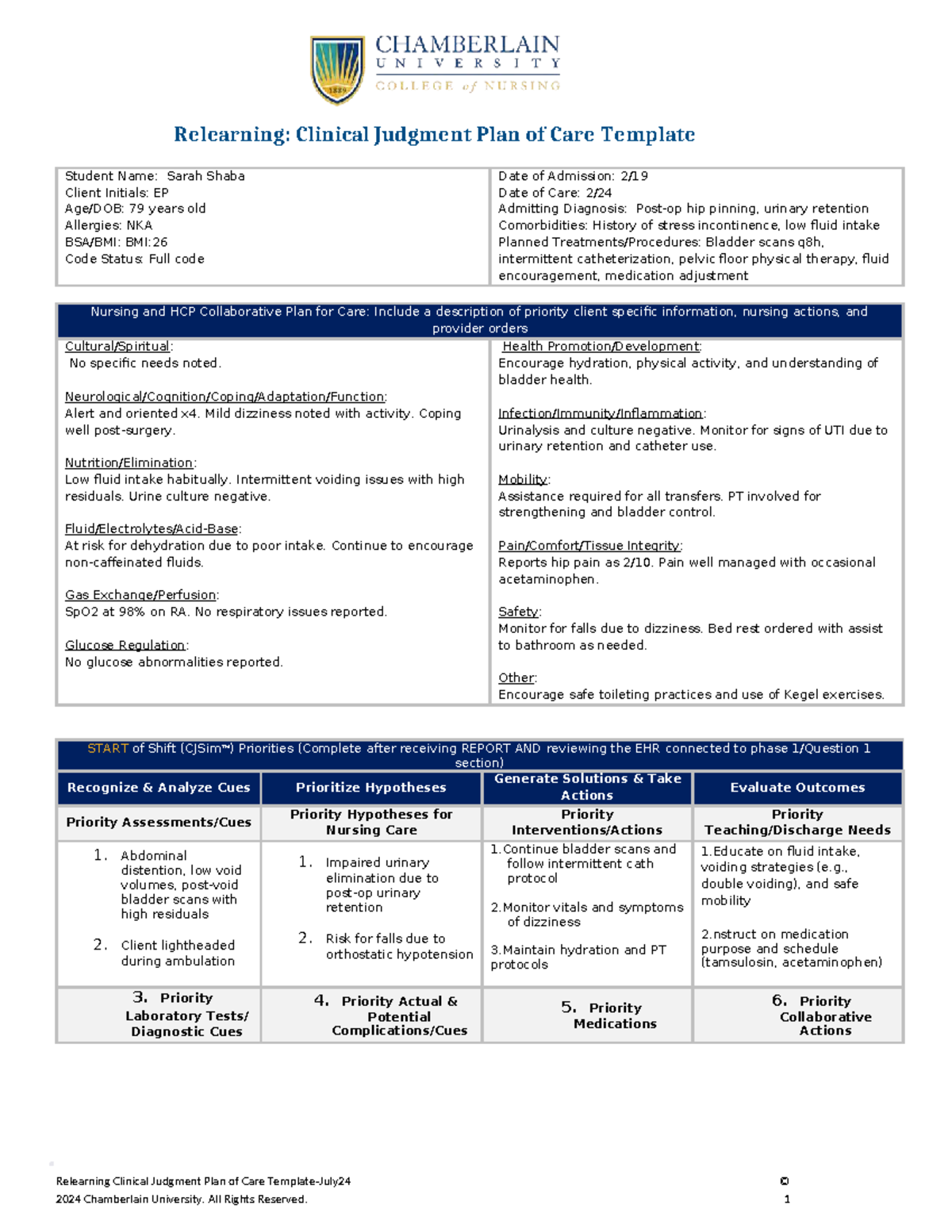 Relearning Clinical Judgment Plan of Care Template - Chamberlain ...