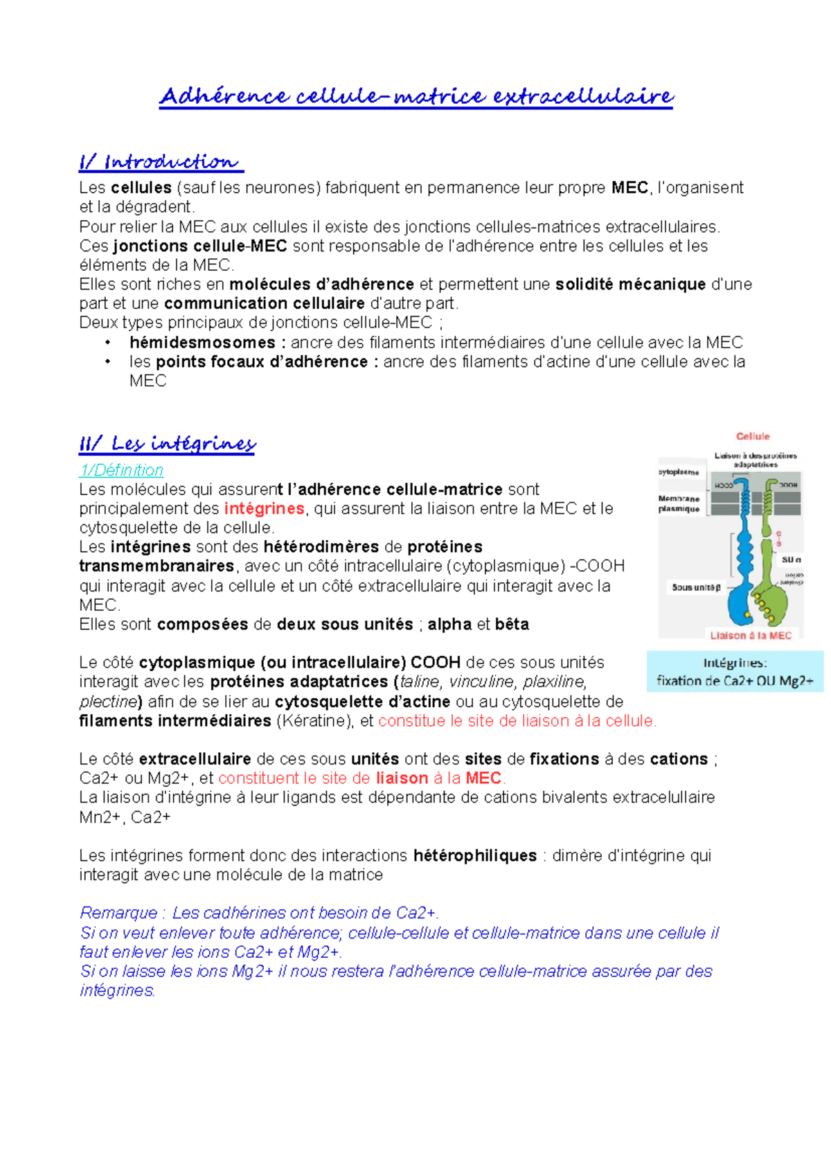 Adhérence Cellule-Matrice Extracellulaire : Intégrines et ...