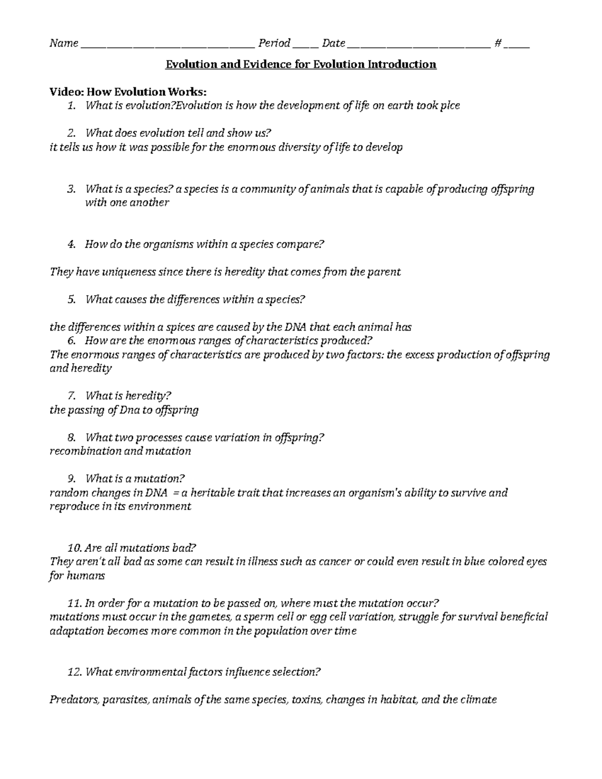 Copy Evolution+and+Evidence+of+Evolution+Video+Questions - Evolution ...