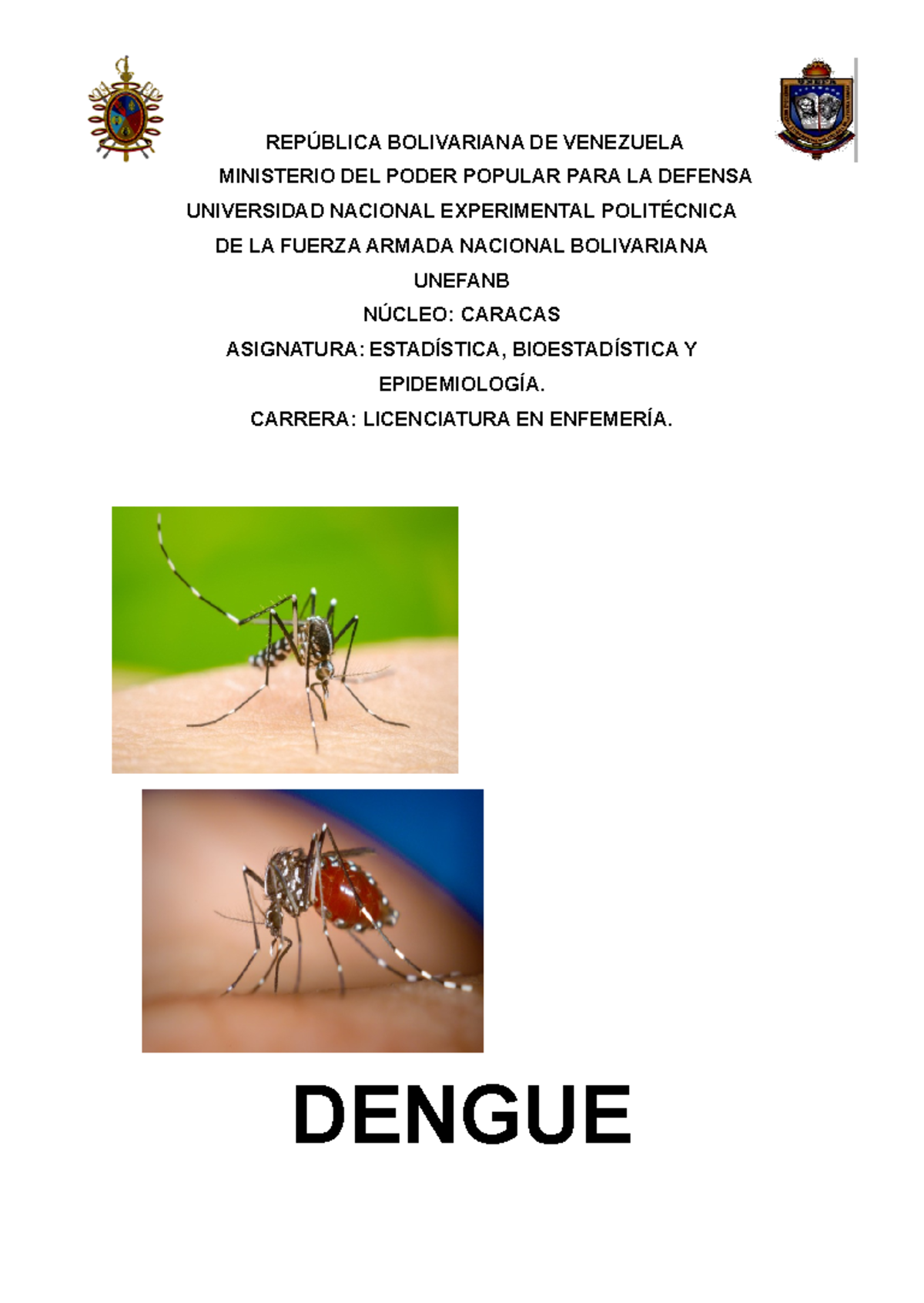 Notas de Clase sobre el Dengue (EST-302) - Medicina y Epidemiología ...