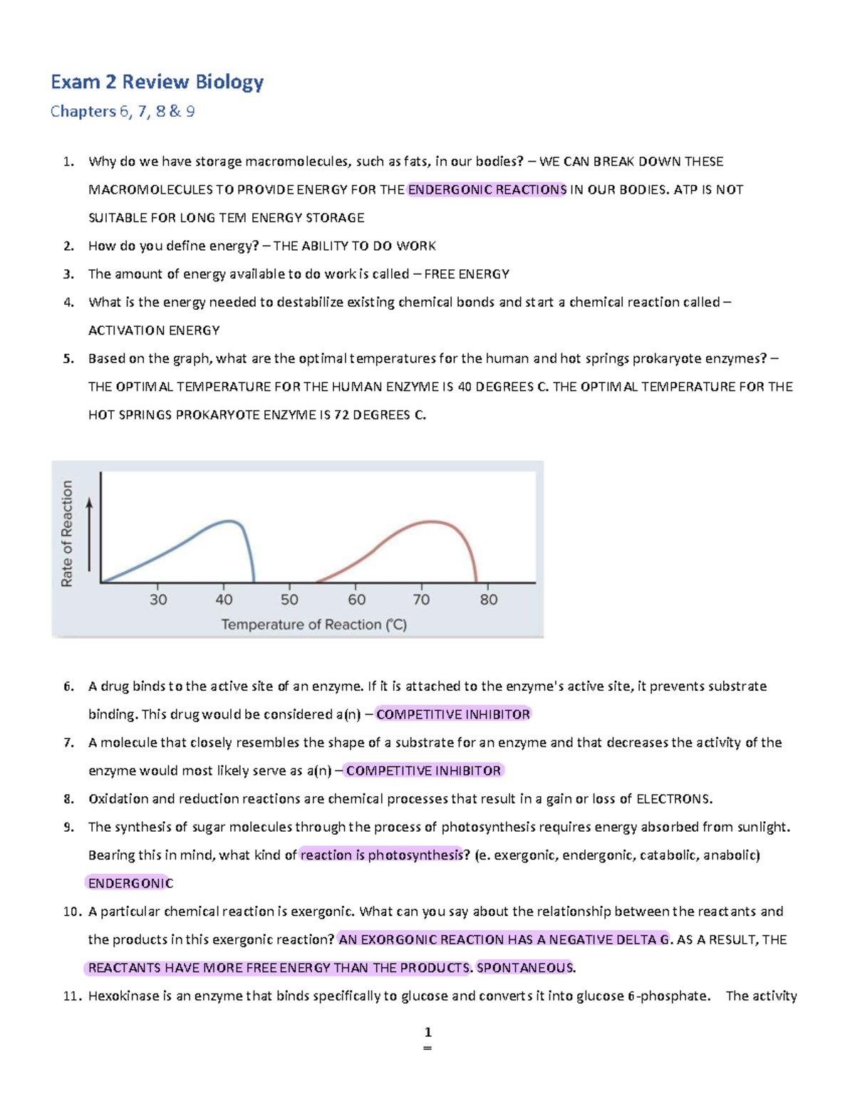 Biology Exam 2 Review: Energy, Enzymes, & Metabolism Concepts - Studocu