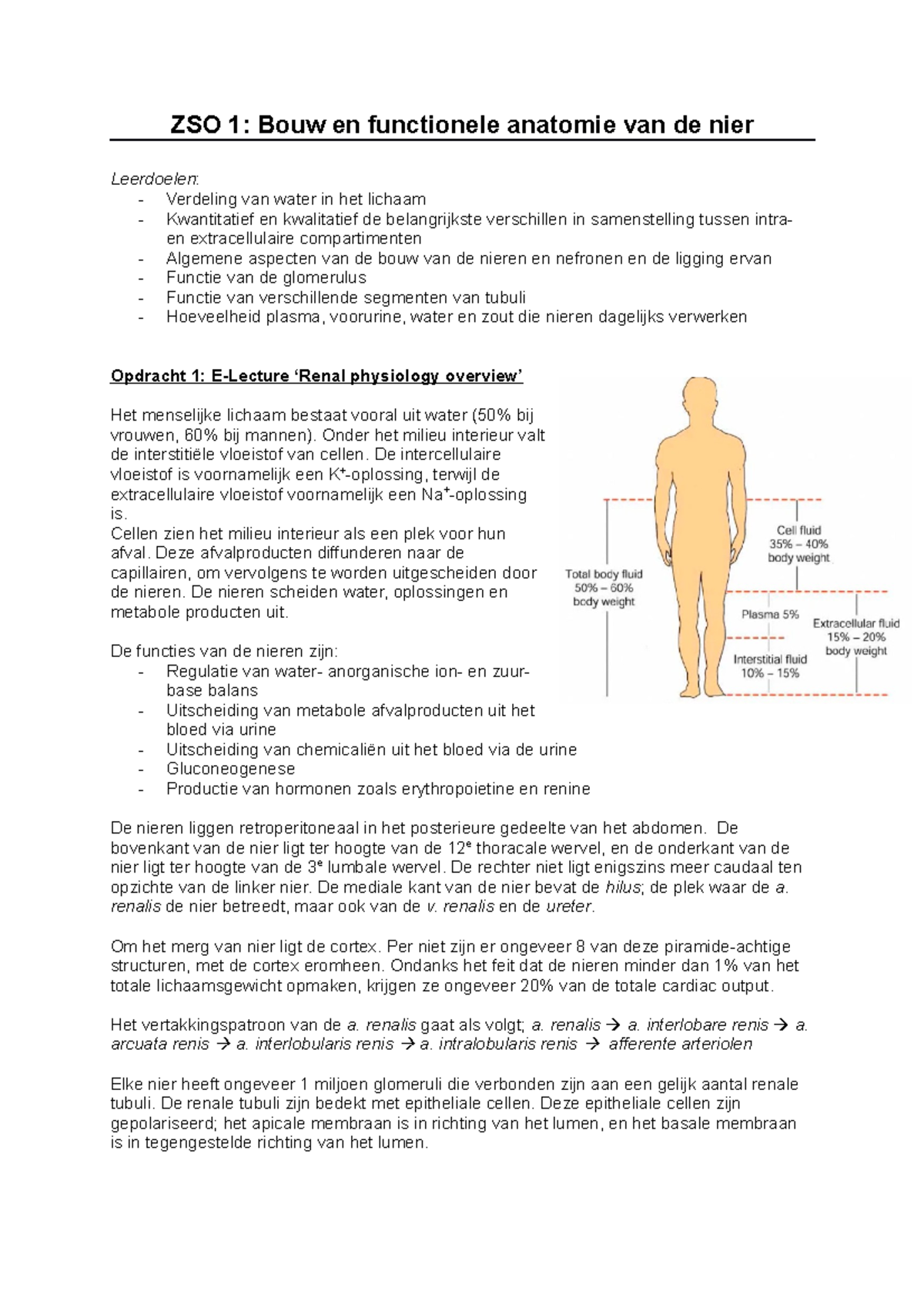 ZSO 1 - Bouw en Functionele Anatomie van de Nier: E-Lecture & Vragen ...