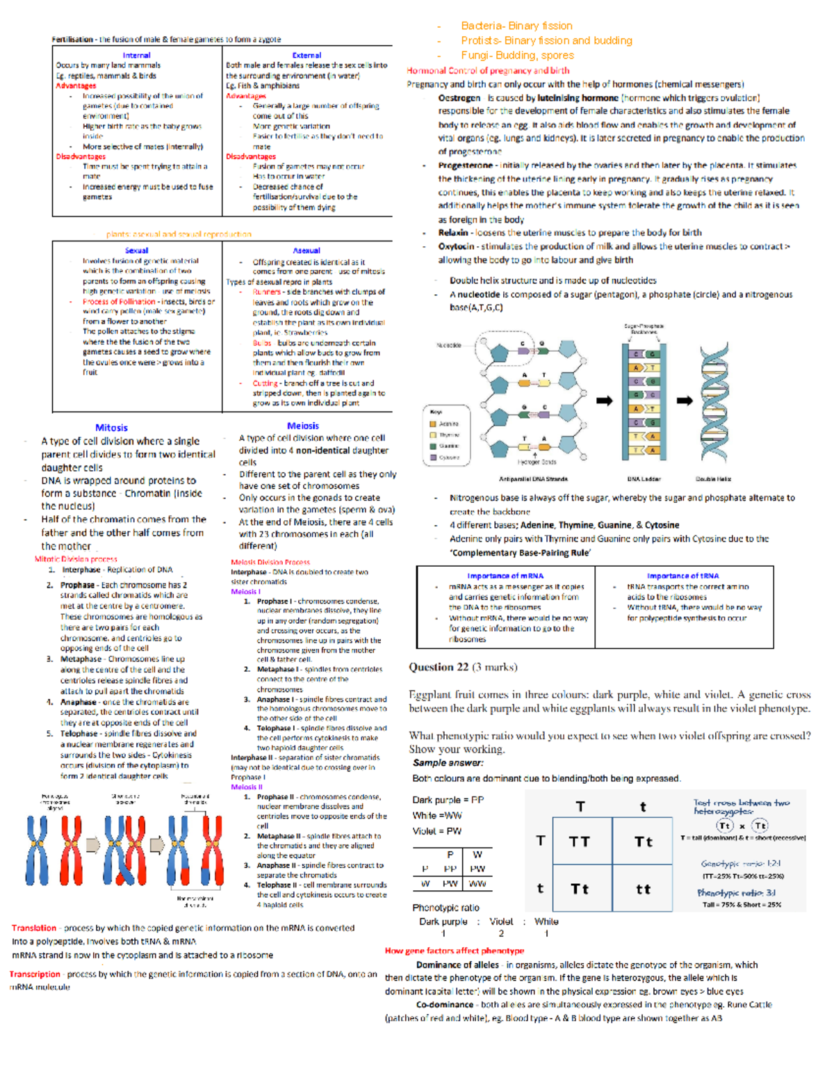 Biology modules Study sheet - Bacteria- Binary fission Protists- Binary ...