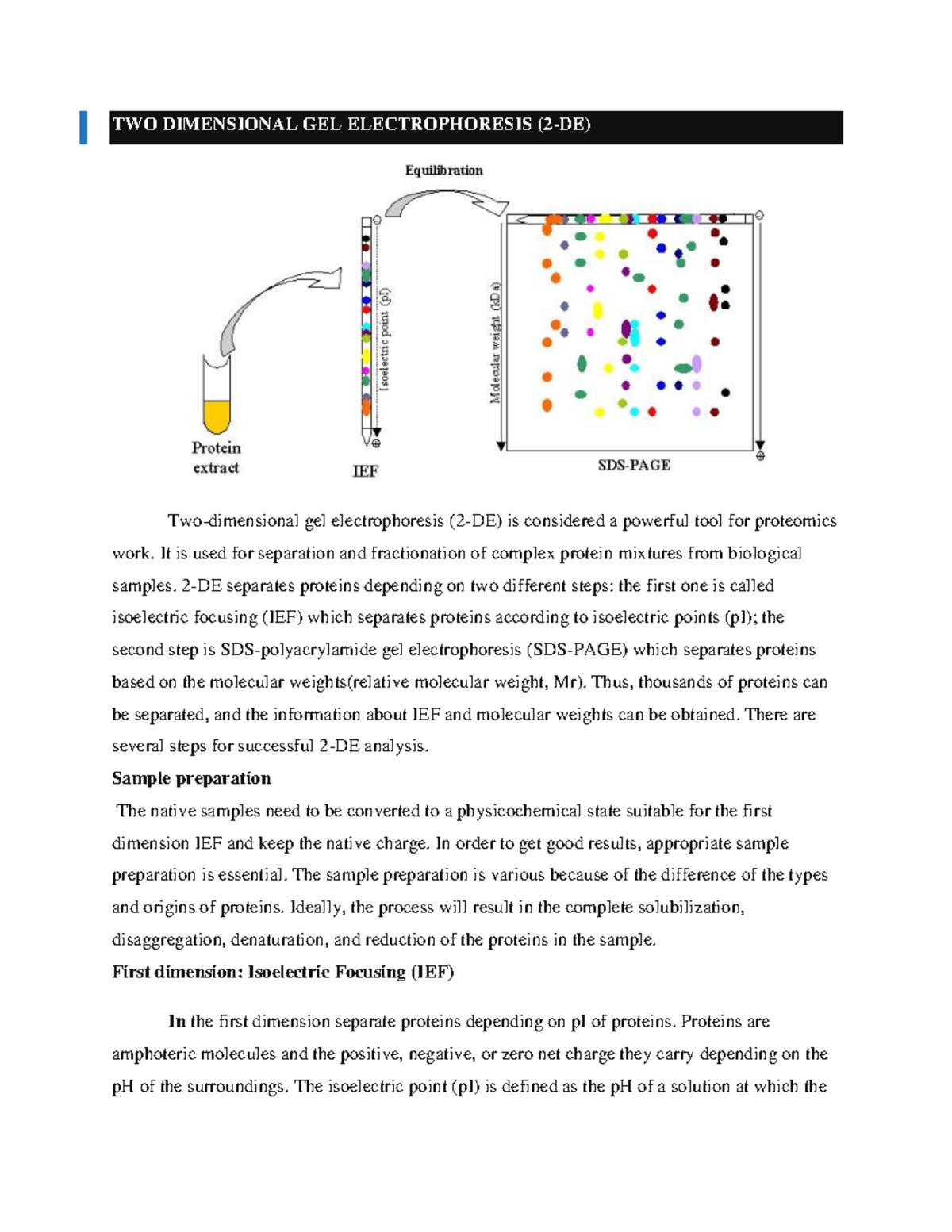 2D Gel Electrophoresis Techniques and Applications in Proteomics - Studocu