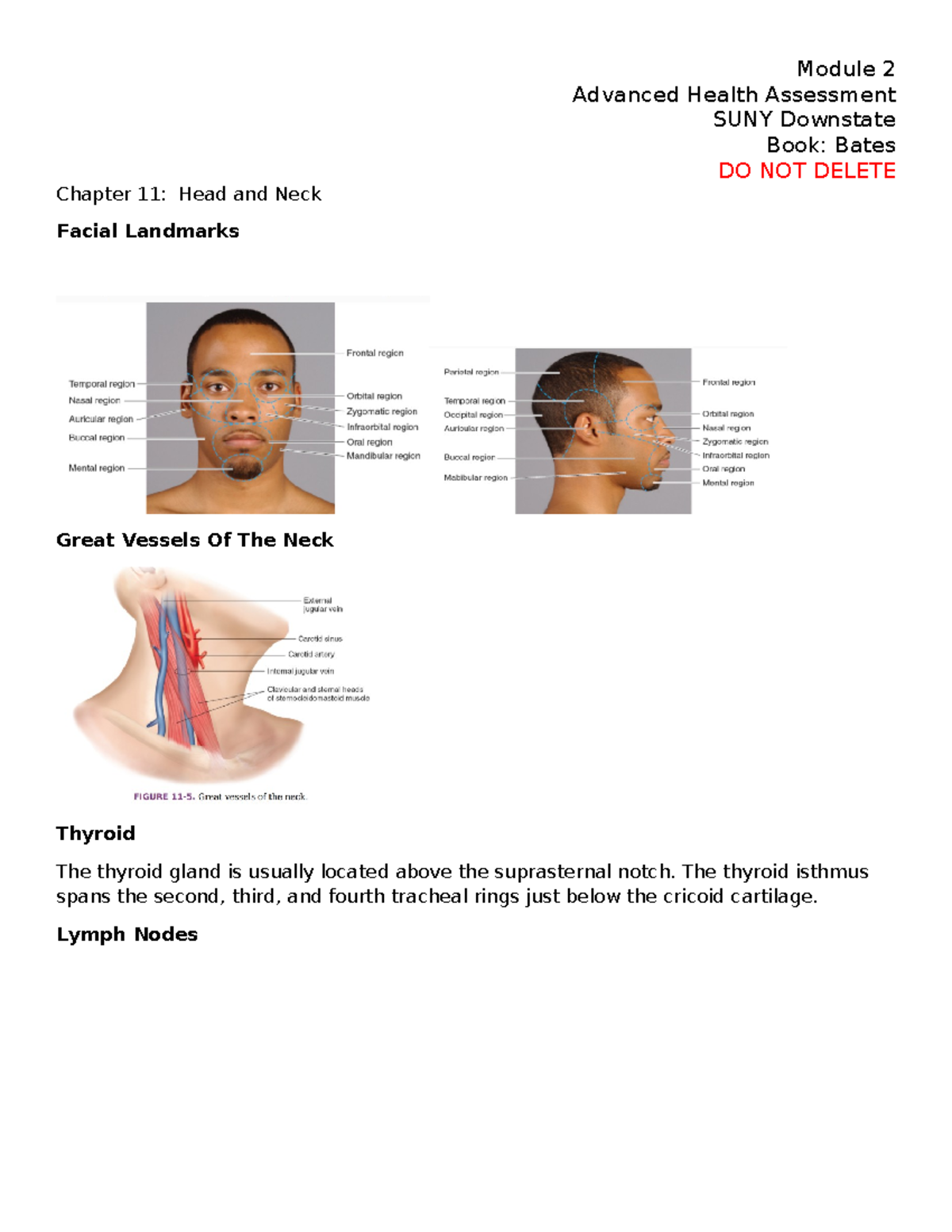 Chapter 11: Head and Neck Assessment (Advanced Health Assessment) - Studocu