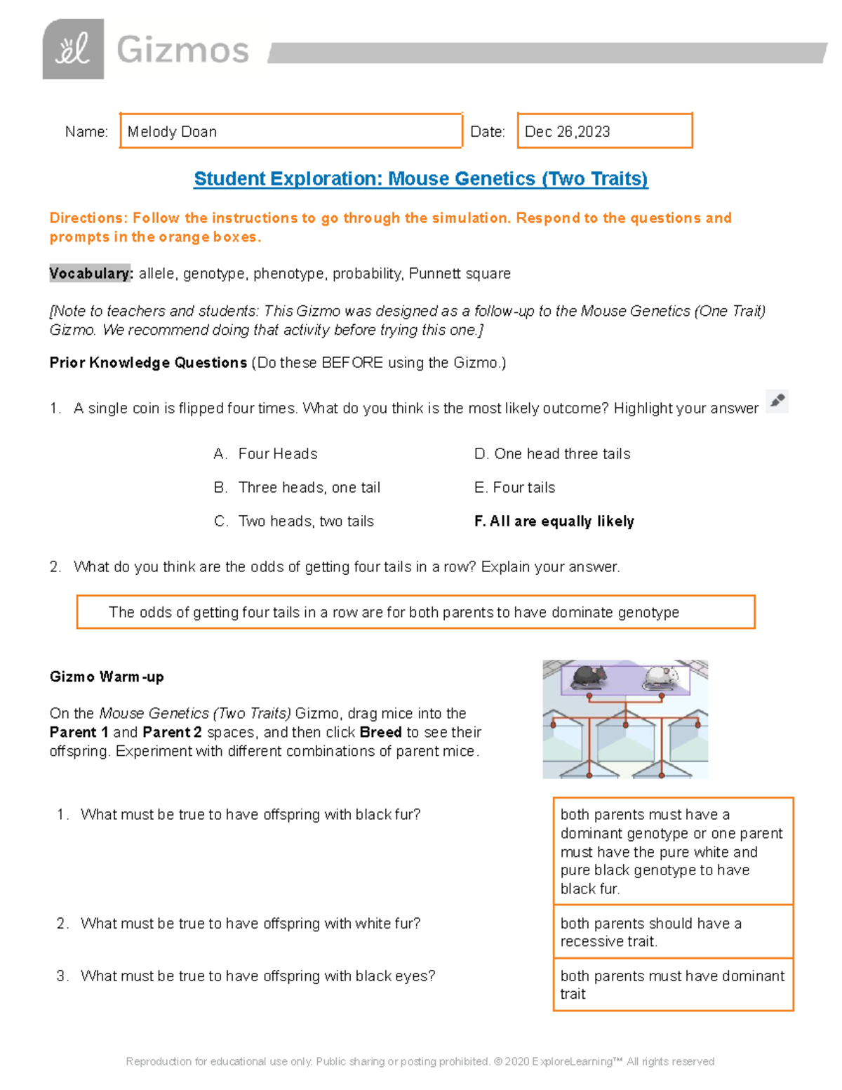 Mouse Genetics Exploration: Two Traits with Gizmos - 2SE Guide - Studocu